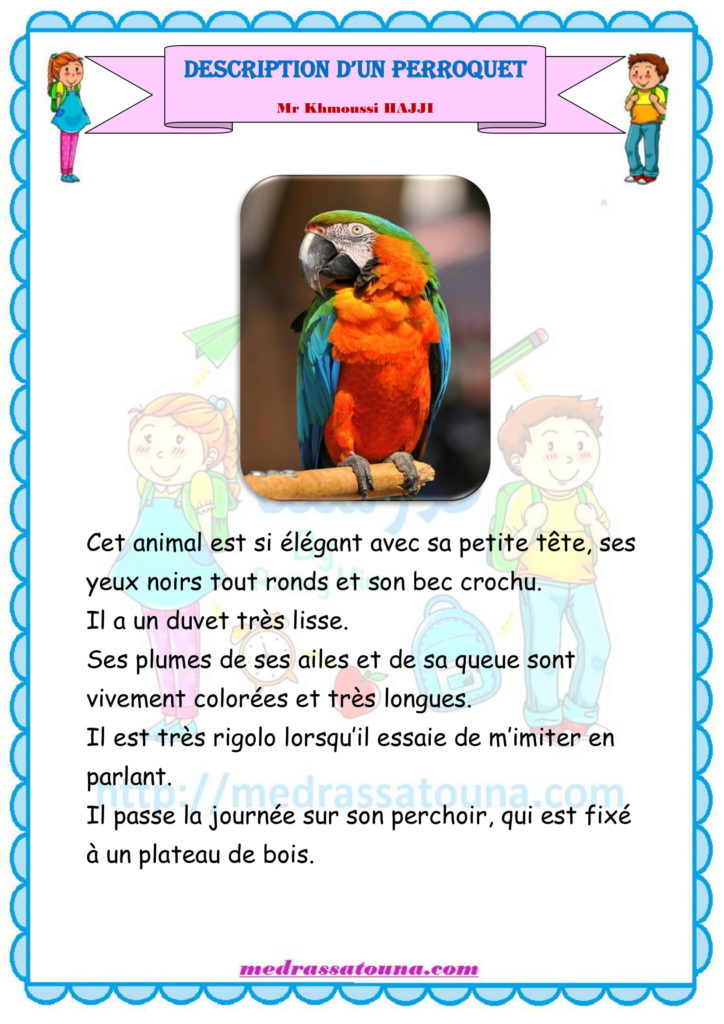 Description d’un perroquet - مدرستنا
